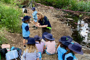 Bardon State School achieves Australia’s first Forest School accreditation